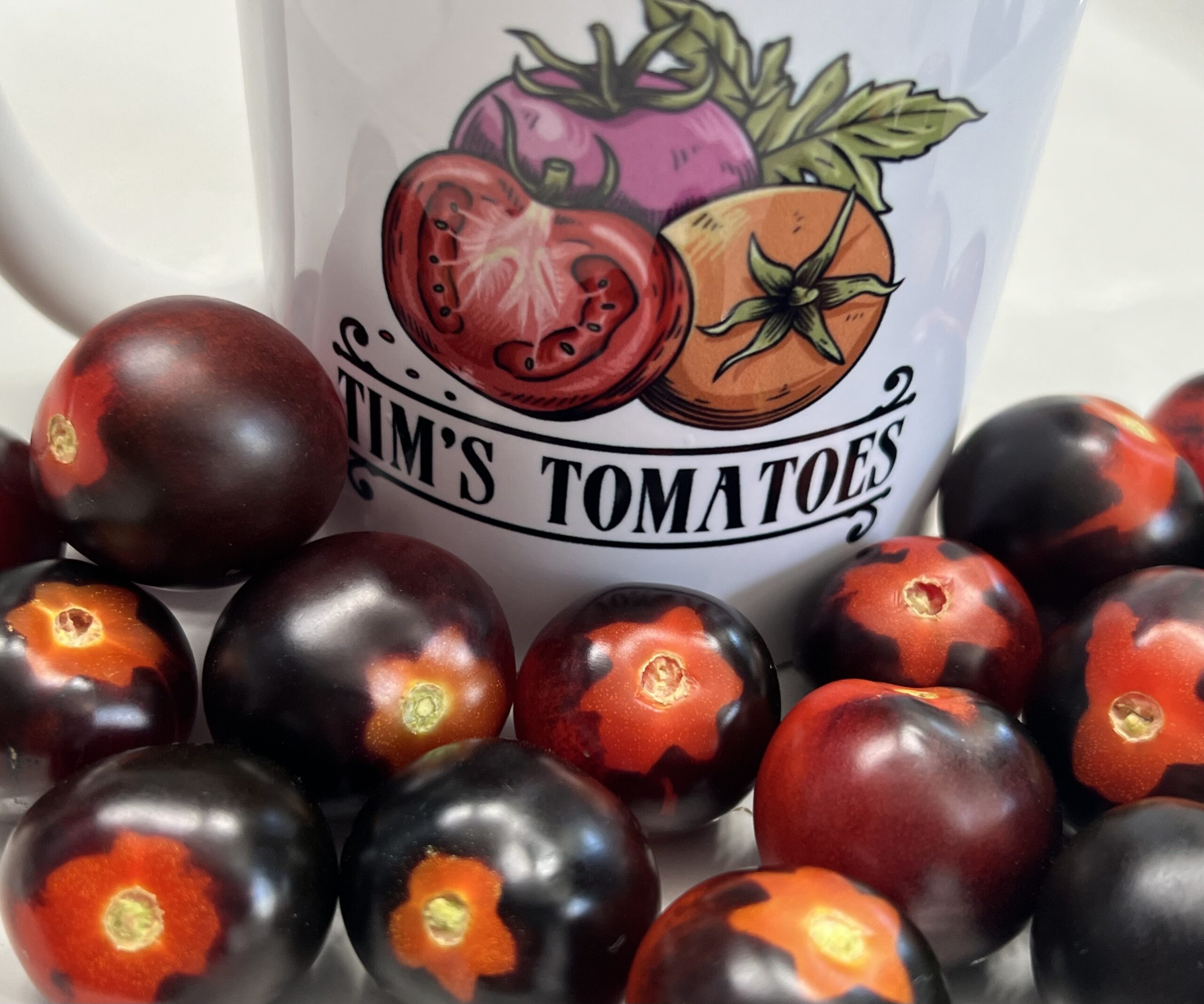 Bosque Blue Tomato Seeds | Organic - Tim's Tomatoes