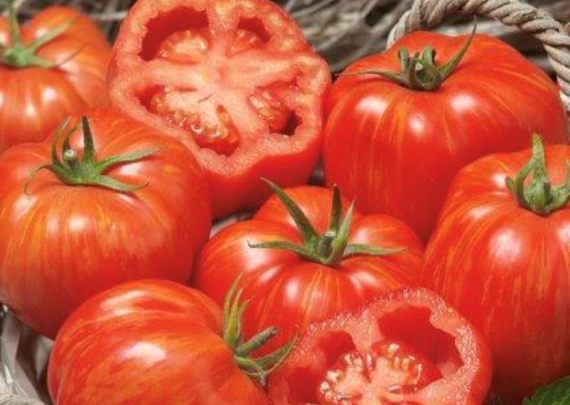 Striped Paste Tomato Seeds - Tim's Tomatoes
