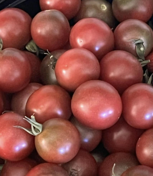 Rosella Tomato Seeds | Heirloom | Tim's Tomatoes