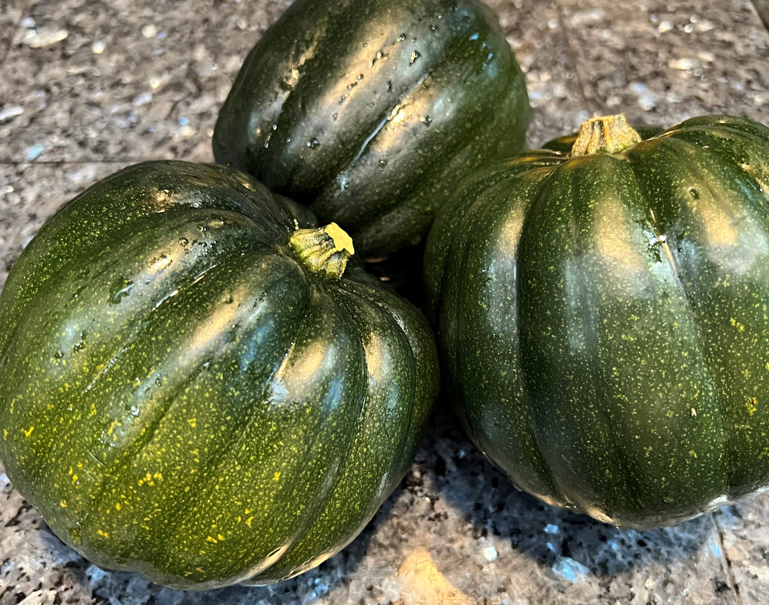 Table Queen Acorn Winter Squash Seeds | Tim's Tomatoes